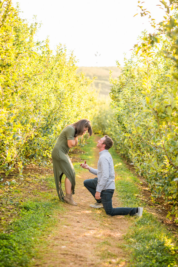 Sunny Surprise Proposal at Carter Mountain Apple Orchard - Hunter and ...